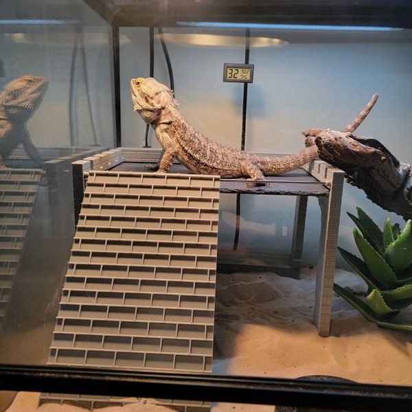 Bearded Dragon Castle Basking Spot Slate Topped Reptile Perch Reptile ...