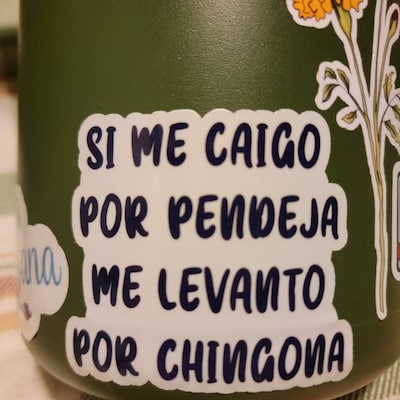 Puro Pinche Party Sticker Vinyl Decal Mexican Phrases Latina - Etsy