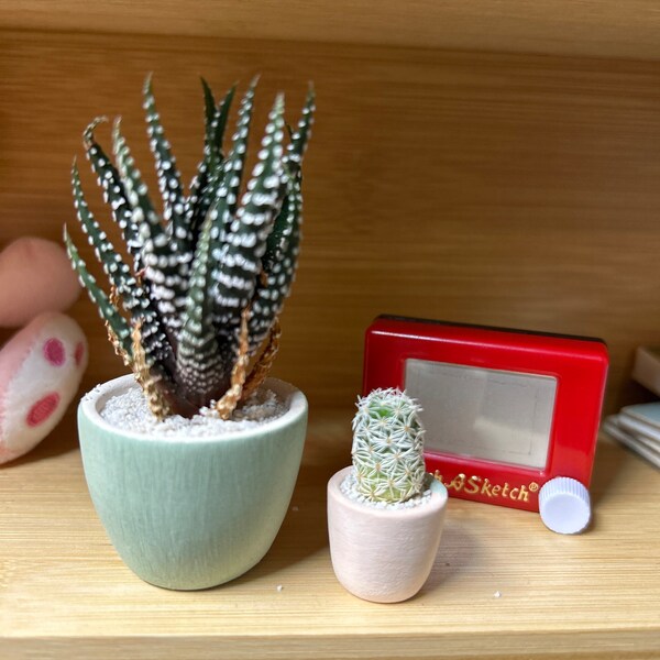 Copa Plant Propagation Vessel / Handmade Ceramic and Glass//plant ...