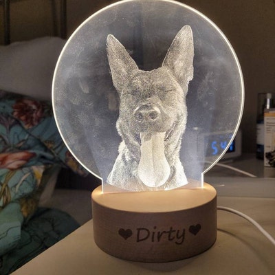 Custom LED Dog Lamp, Personalized 3D Pet Photo Light, Engraved Cat ...