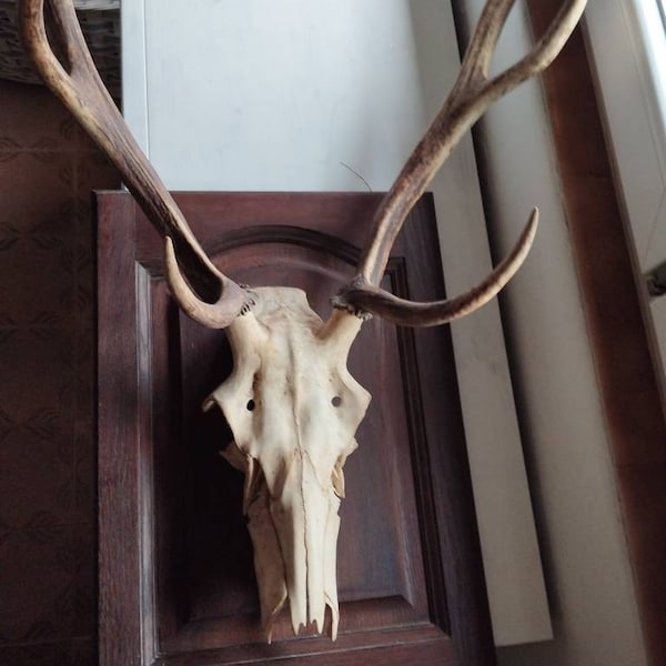 Custom Textile Cable Lamp Kit | 3 Core DIY Electrical Fabric Flex ...