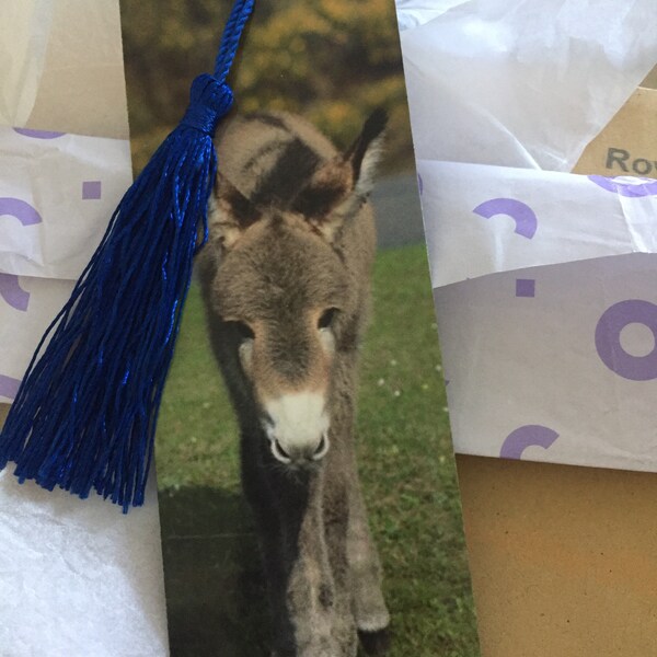 Donkey Photo Coasters, Featuring a Mother and Baby Donkey in the New ...