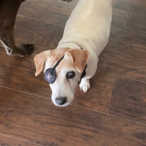 Custom Eye Patch for Dogs or Cats 100 % Cotton/ No Felt - Etsy