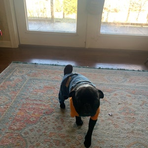 Corgi Cute Love Butt Fluffy Bum Heart Shaped Black Coated | Etsy