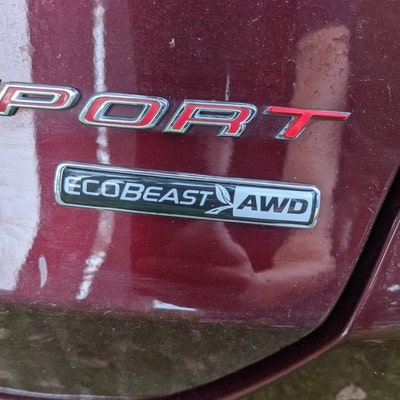 Gel Coated domed FORD Ecobeast AWD or Twin Turbo AWD Emblem - Etsy