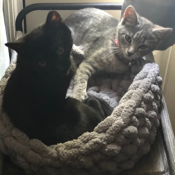 Regan, Exorcist, Amigurumi, Horror Slasher, Slasher Cuddler, Crochet ...