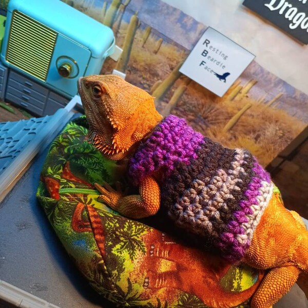 Shark Snake Sweater | Halloween Costume | Crocheted Snake Sweater ...