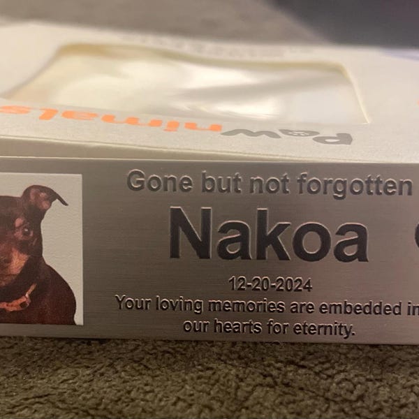 Personalized Paw Pet Name Tags, Custom Engraved Gold Dog ID Tag, Dog ...