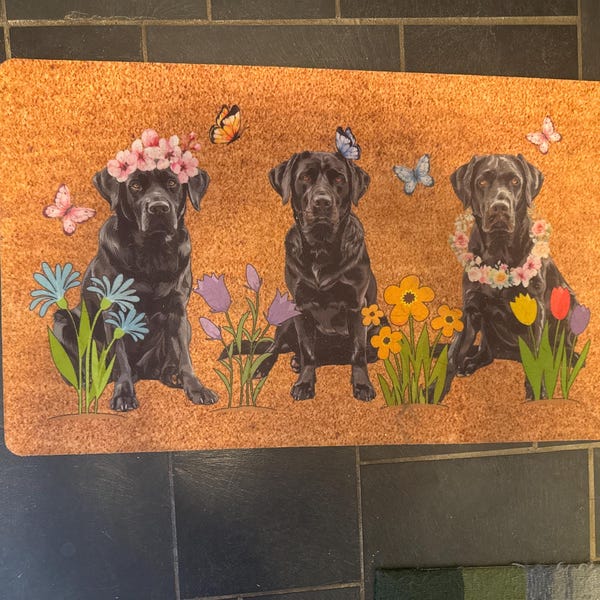 Labrador Retriever Doormat, Labrador Retriever Rug, Visiting My House ...