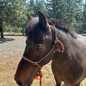 Rope Halter & Mecates Natural Horsemanship Hackamore 21 - Etsy