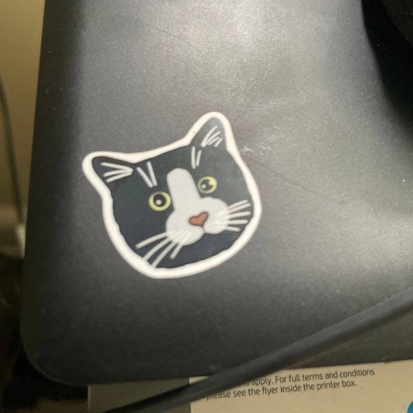 Dramatic Cat Meme Sticker Sheet – Sad Cat Sticker, Funny Meme Sticker ...