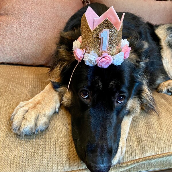 Custom Pet Birthday Crown, Dog Crown, Large Dog Birthday Party Hat ...