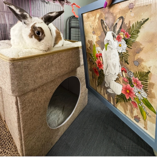 8x10 Watercolor Netherland Dwarf Art Print Himalayan Rabbit - Etsy