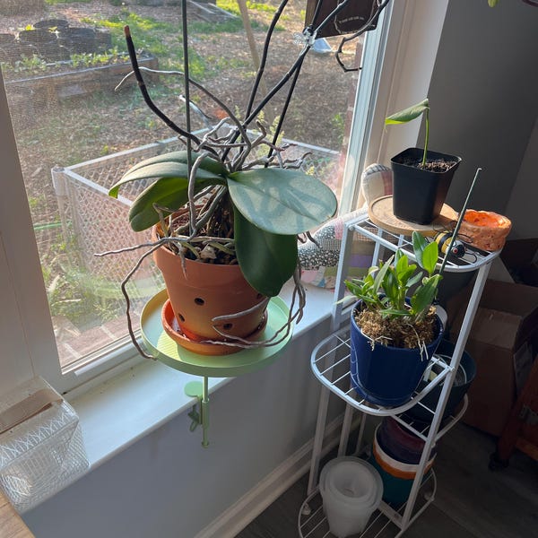 Windowsill Clamp Tray for Indoor Plants, Plant Decor, More Space for ...