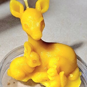 Fake Human Teeth Tooth Mould Silicone Mold Dentist Dental Teeth Dentist ...