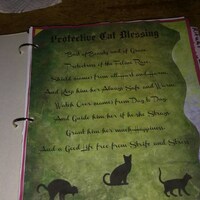 Custom Cat Familiar Blessing Spell Digital Download Book of - Etsy Canada