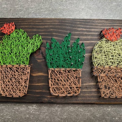 DIY Cactus Succulent String Art Kit - Etsy