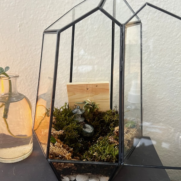 Bioactive Terrarium Kit With Live Moss With Terrarium Container ...