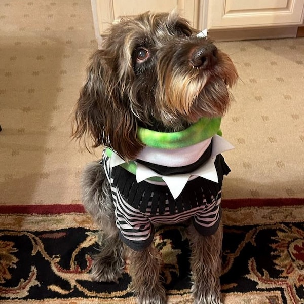 Sandworm Beetlegeuse Beetlejuice Inspired Embroidered Dog Costume Scarf ...