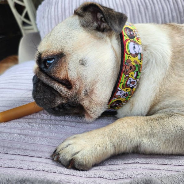 3 Dirty Dawgz Adjustable 1" Gingham Dill Pickles Dog Collars for Medium ...
