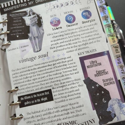 Aesthetic Action Plan Template Add-on PNG & PDF Printable - Etsy