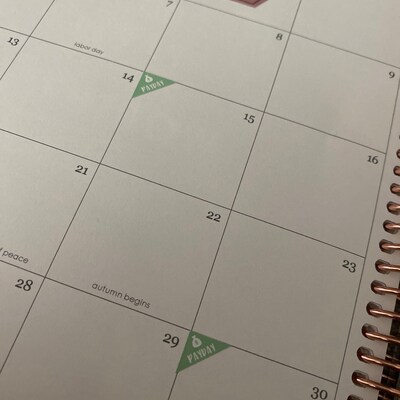 Payday Flag Planner Stickers S053 Payday Stickers for Planner, Journal ...