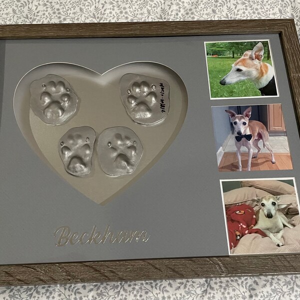 Pet Casting, Paw Cast, Paw Print, DIY Casting Kit, Keepsake for Dog ...