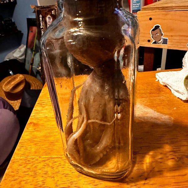 Glass Jar Wet Specimen Octopus Tentacles With or With Out Crystals ...
