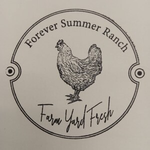 Chicken Egg Stamp Heart Egg Stamp Egg Stamp Chicken - Etsy