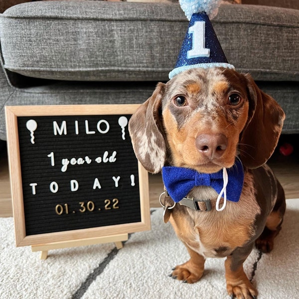1st Birthday Hat- Boy First Birthday Hat - Mini Blue Party Hat - Boy ...