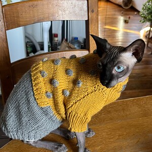Yellow Cat Hat Hand Knit Sphynx Cat Accessories Pet Winter - Etsy