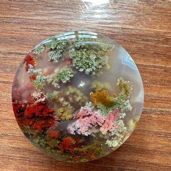 RED MOSS AGATE Scenic Petrified Wood Flower Agate Size : 38x26x5 Mm ...