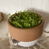 Farmhouse Sprouter Terra Cotta Microgreen Sprouter Modern - Etsy