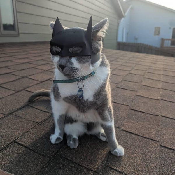 Atomic Fallout Bimbus Cat Helmet - Etsy