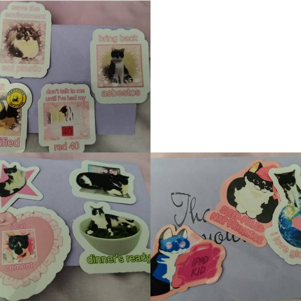 I Am a Procrastination Princess Kittykittyivy Cute Cat Unisex Style T ...