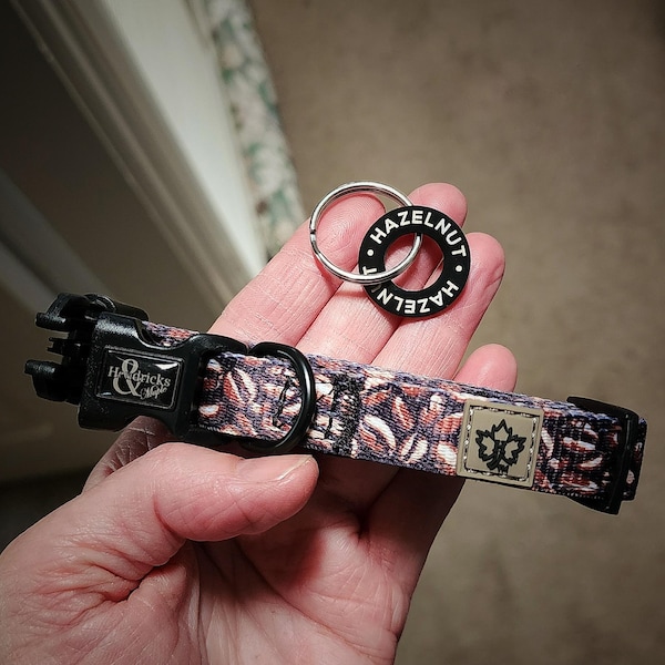 Custom White Lace Personalized Fancy Wedding Dog Collar or Dog Flower ...