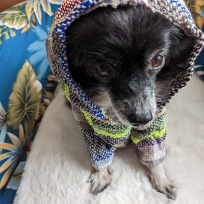 Hand Painted Indian Chief Wall Decor - Etsy