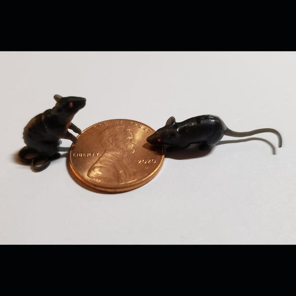 Miniature Rats - 1:12 Scale Miniature Size for Horror Diorama ...