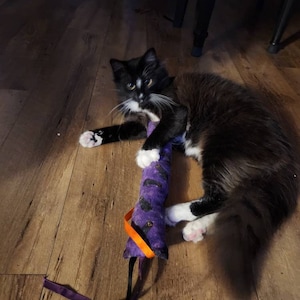 Large Cat Kicker Toy With Ribbons. 12 to 13 Long. Quality Catnip Silver ...