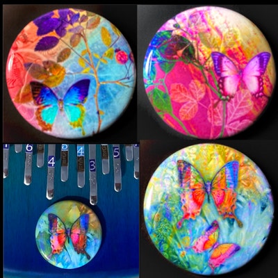 Human Anatomy Eye Optometry Magnets 1.5 Inch Round 6 Piece Magnet Set ...