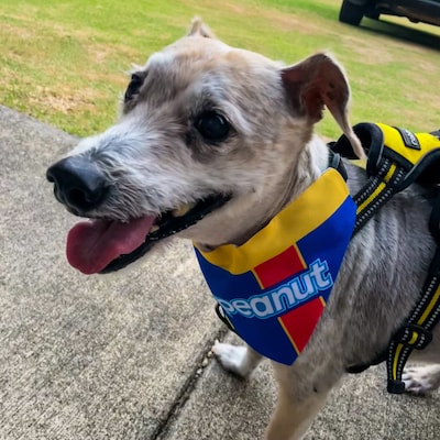 Custom Sci Fi Phone Case, Sci-fi Uniform, Captain, Star, Boldly Go ...