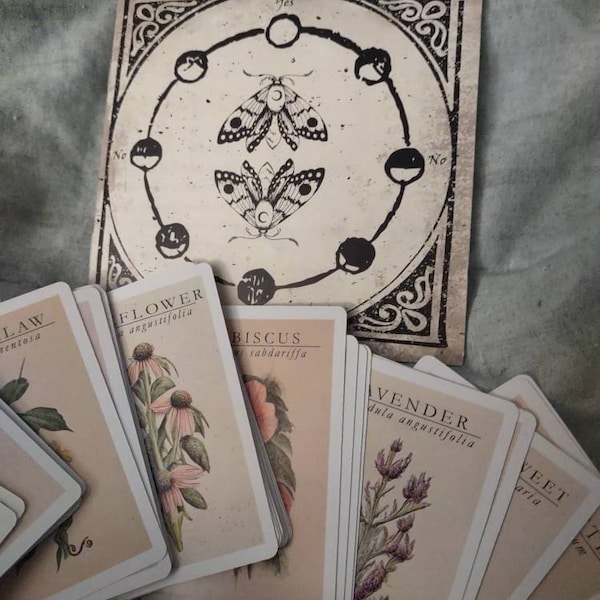 Apothecary Reference Cards ~ Herbal Index Flash Cards ~ Medicinal Herbarium ~ Wicca Witchcraft ...