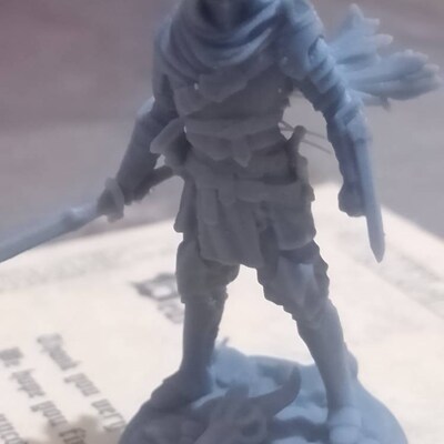 22mm Capybara Mount for Dungeons and Dragons D&D Pathfinder Dnd ...