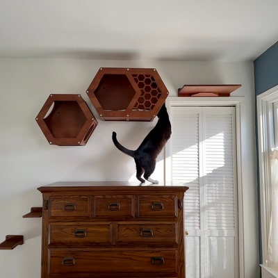 Corner Cat Shelf With Pillow Cat Corner Wall Bed Corne Cat Shelf for ...