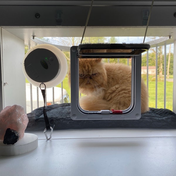 Cat Solarium Conservatory Package the Ultimate Cat Window Box. Cat ...