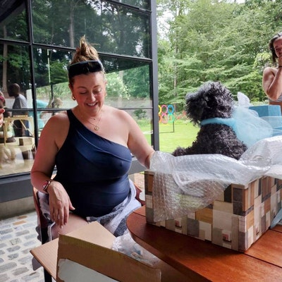 Puppy Michelle , made to Order Poodle Dog , Toy Poodle, Fur Toy Poodle ...