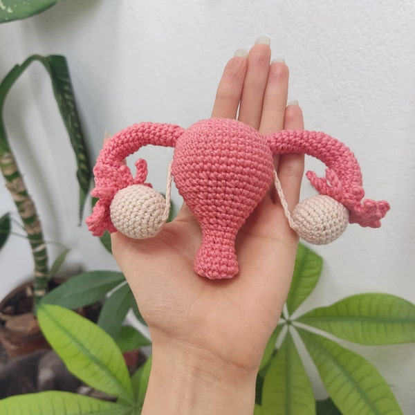 Crochet Pattern!! UTERUS With Fallopian Tubes & Ovaries | Womb Model ...