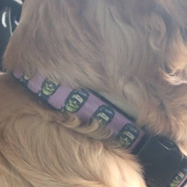 Frankenstein Monster Dog Collar, Frankenstein Collar, Halloween Dog ...
