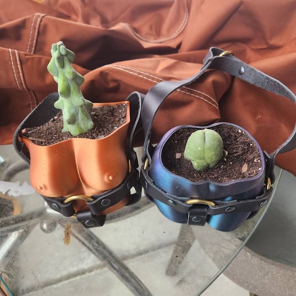 Booty Planter and Boob Hanging Planter With Harness - Etsy