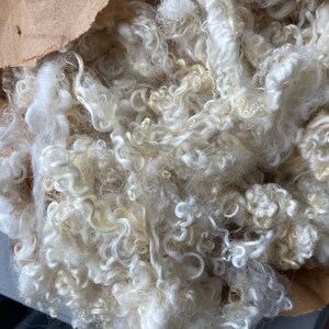 5 Colour Wool Locks Box for Felting Fibre Arts and Doll Hair - Etsy UK